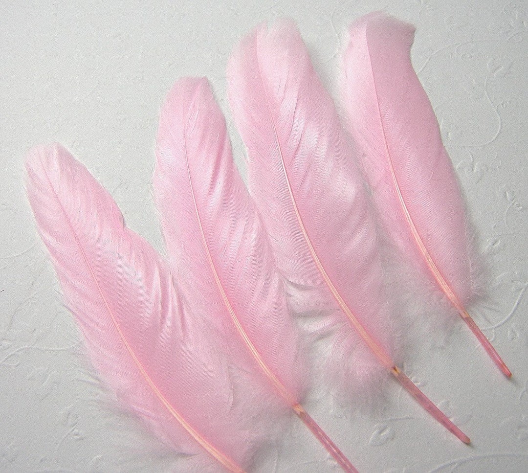PINK Satinette Goose Feathers, Ballerina Princess Mermaid Baby Shower ...