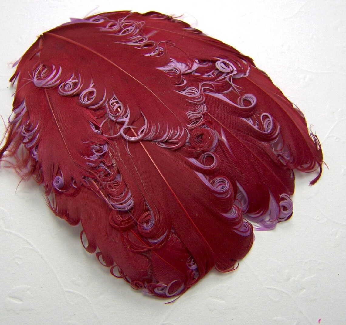 WINE AND LILAC Curly Feather Pads Nagorie Feathers - Etsy