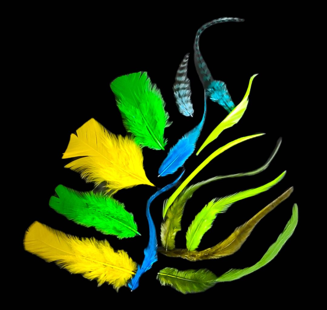 BLUE, GREEN & YELLOW Craft Feather Mix, 2 - 6", Pick Your Quantity, Mix ...