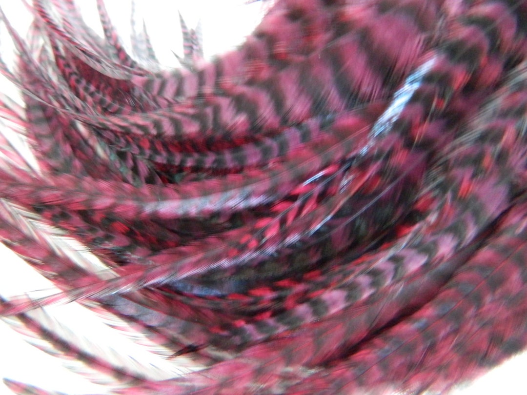 BURGUNDY GRIZZLY Wide Feathers PLUS 3 Free Crimping Beads / Thick ...