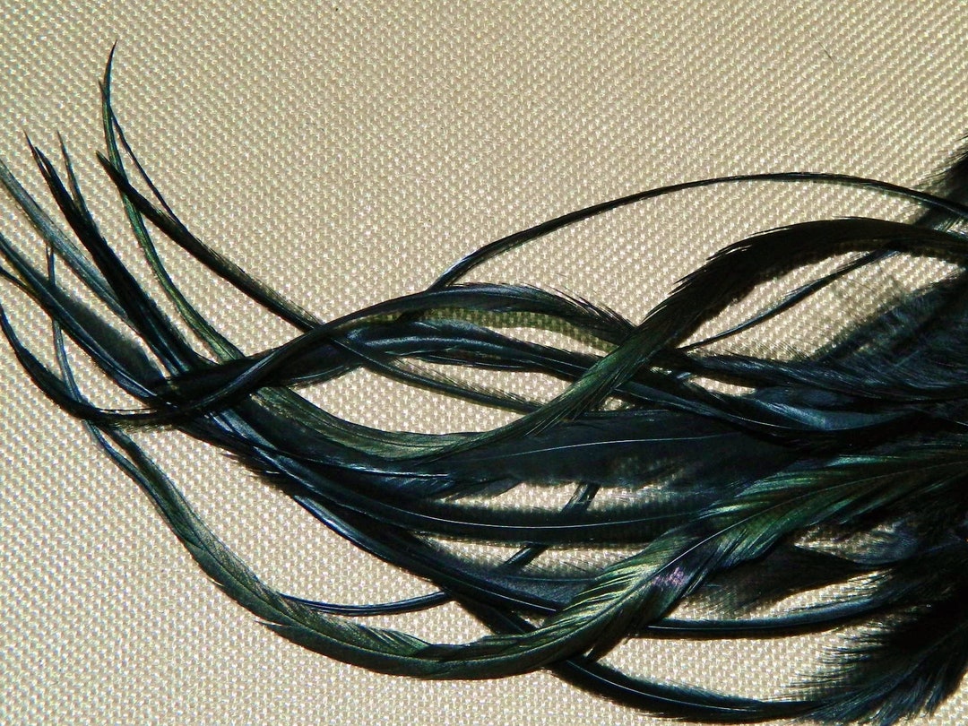 RAVEN BLACK THICK Feathers 3 Free Crimping Beads, Long Black Iridescent ...