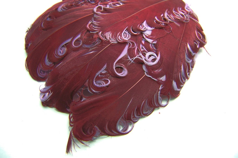 WINE AND LILAC Curly Feather Pads Nagorie Feathers - Etsy