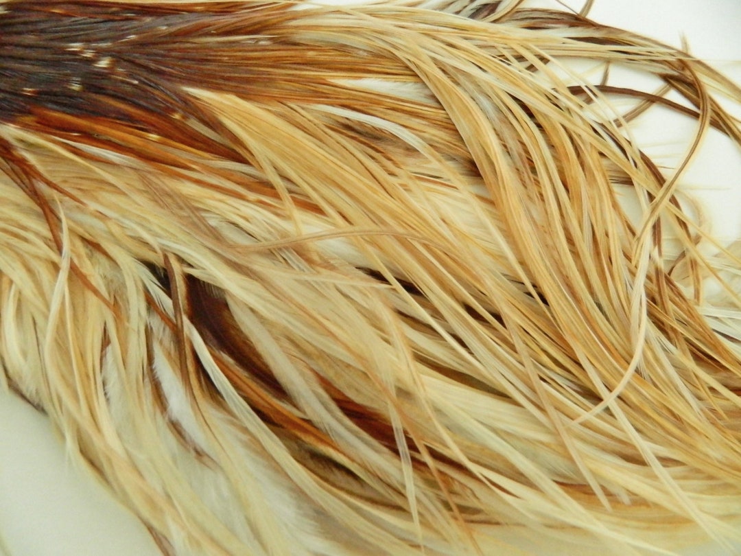 BOHO LIGHT Ginger Skinny Hair Feather Extensions PLUS 3 Free Crimp ...