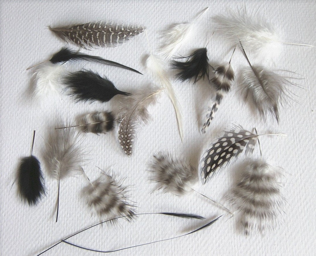 MINX MIX Natural Grizzly Marabou & Guinea Feathers SMALL Tiny Mini ...