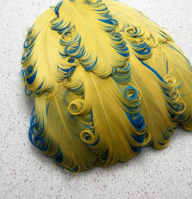 YELLOW AND TURQUOISE Curly Feather Pads Nagorie Feathers - Etsy
