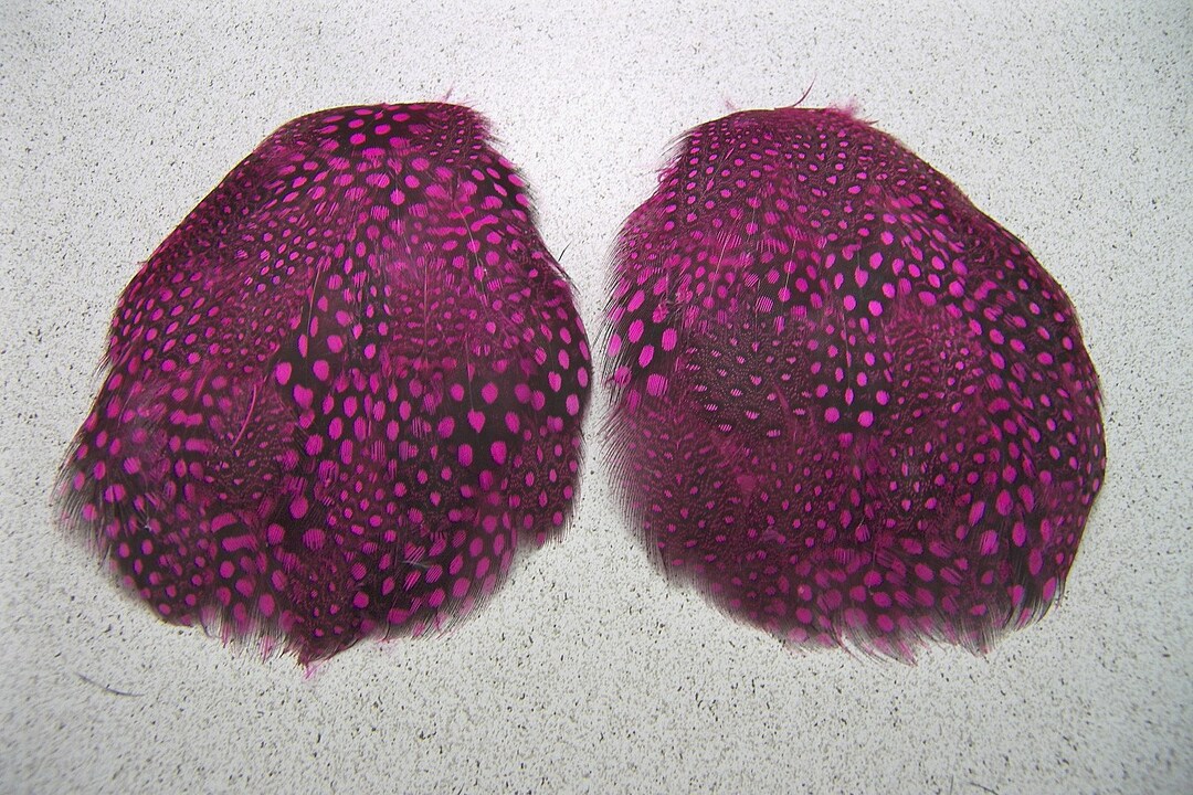 PINK GUINEA Feather Pads, Black With Pink Polka Dots, Guinea Feathers ...