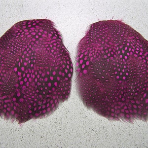 PINK GUINEA Feather Pads, Black With Pink Polka Dots, Guinea Feathers ...