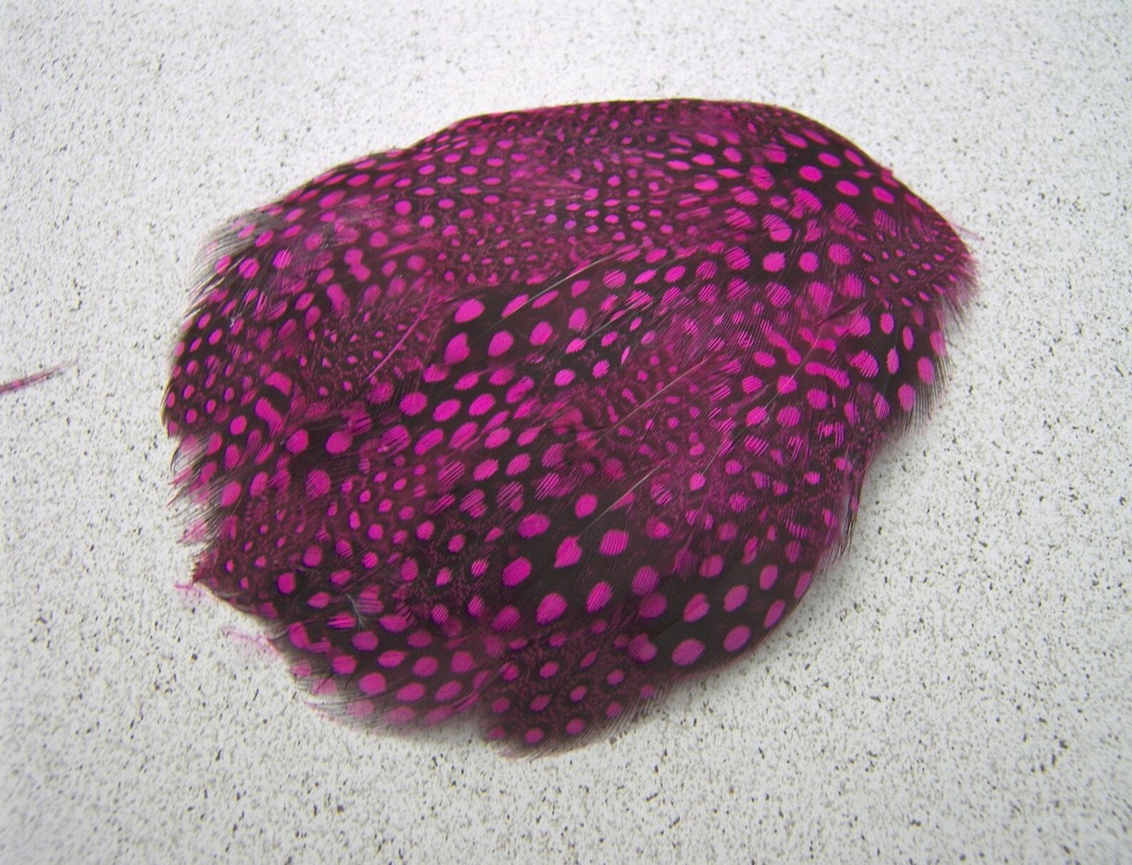 PINK GUINEA Feather Pads Black With Pink Polka Dots Guinea - Etsy