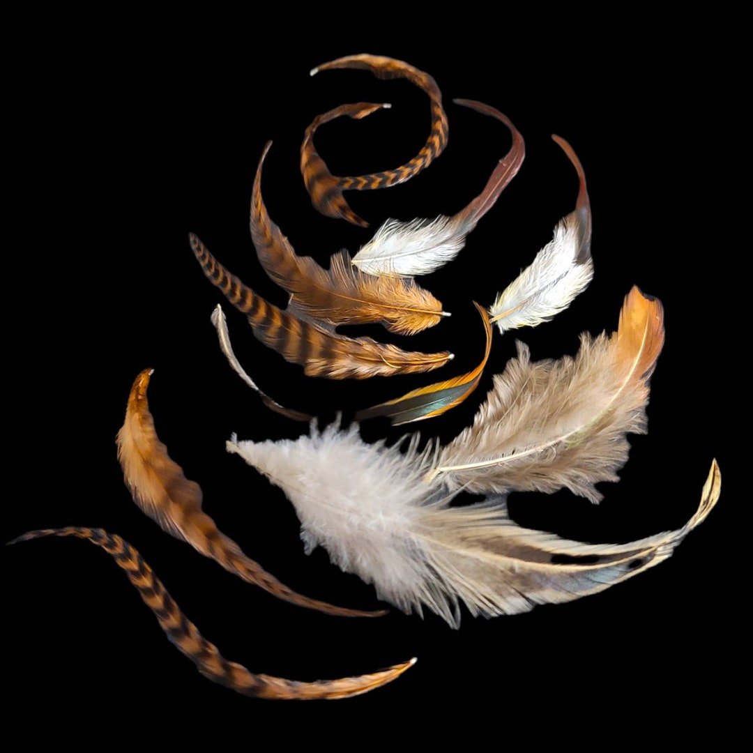 BROWN, TAN & WHITE Craft Feather Mix, 2 - 5", Pick Your Quantity, Mix ...
