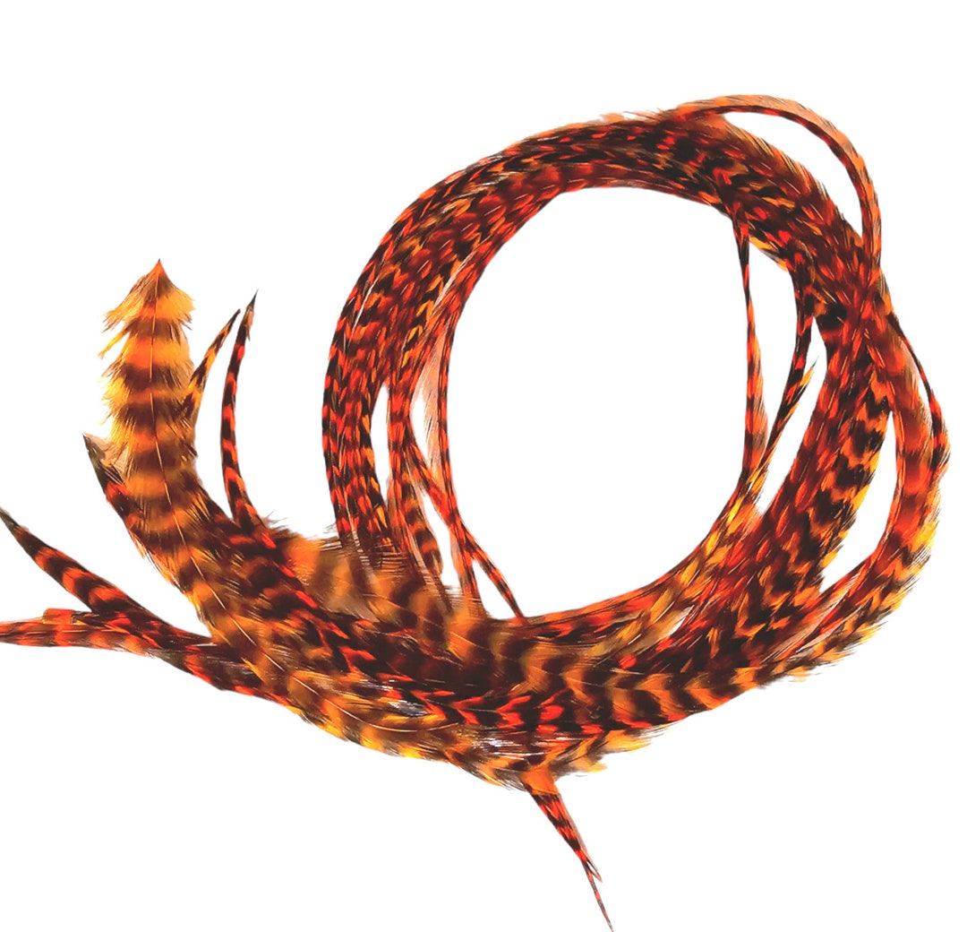 Up to 16 " Long Orange Grizzly Skinny Hair Feathers PLUS 3 Free ...