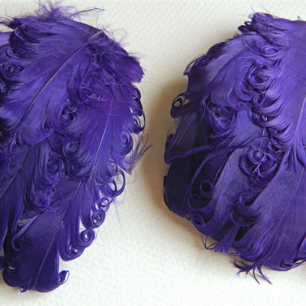 Nagorie Feather - Etsy