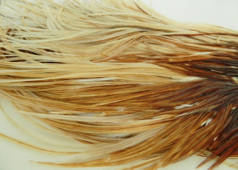 BOHO LIGHT Ginger Skinny Hair Feather Extensions PLUS 3 Free Crimp ...