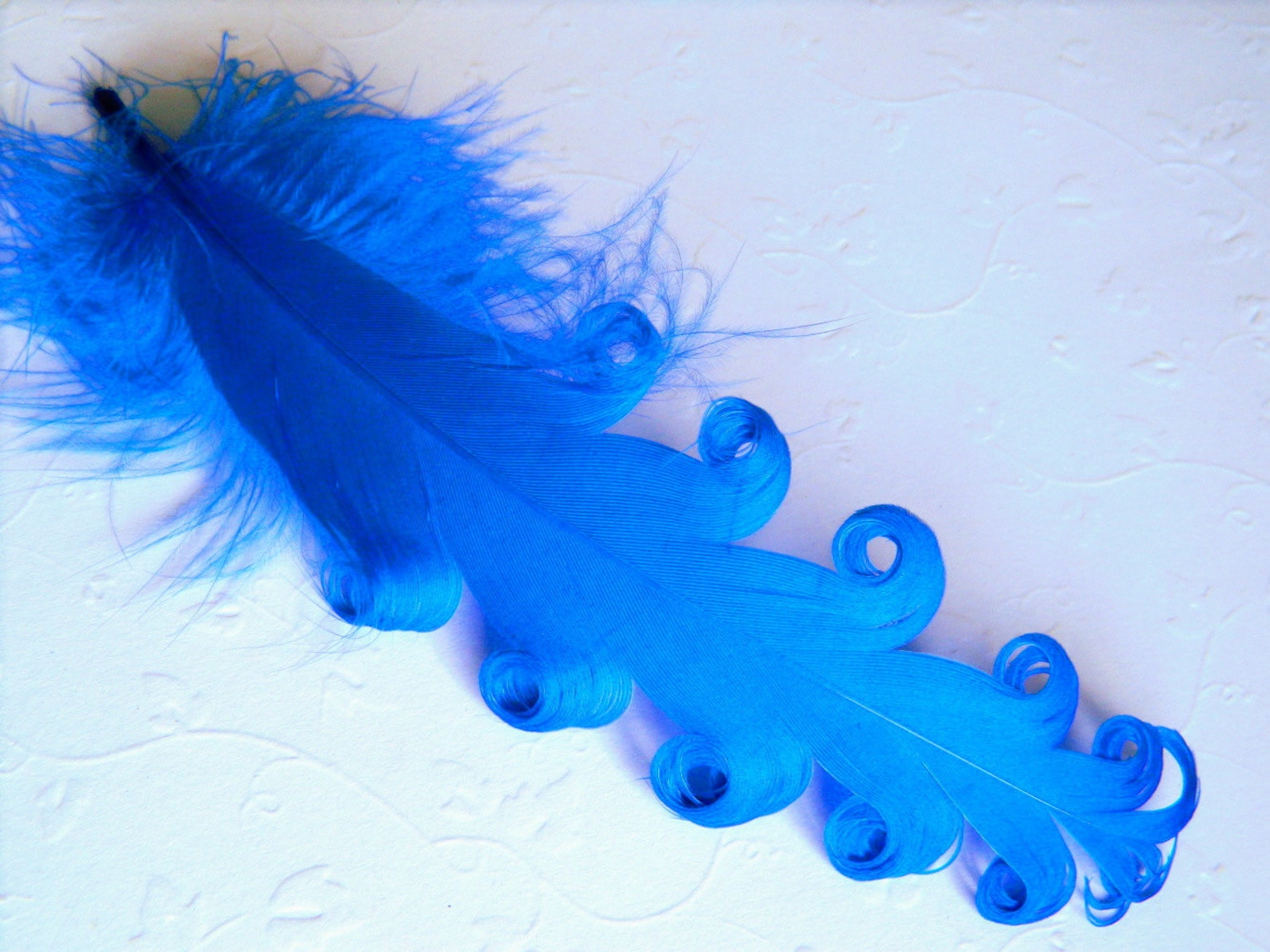 NAGORIE CURLED Feathers Curled Goose Satinette Feathers | Etsy