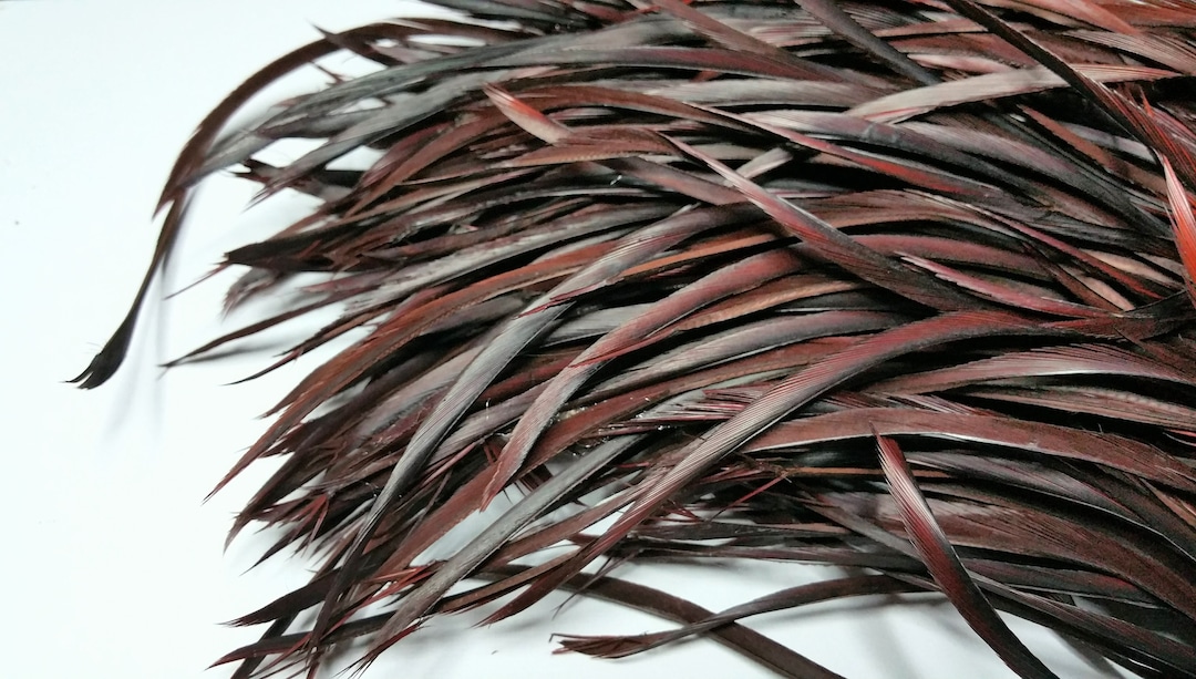 FRENCH ROAST Biot Sword Feathers, Mahogany Brown Millinery Hat ...