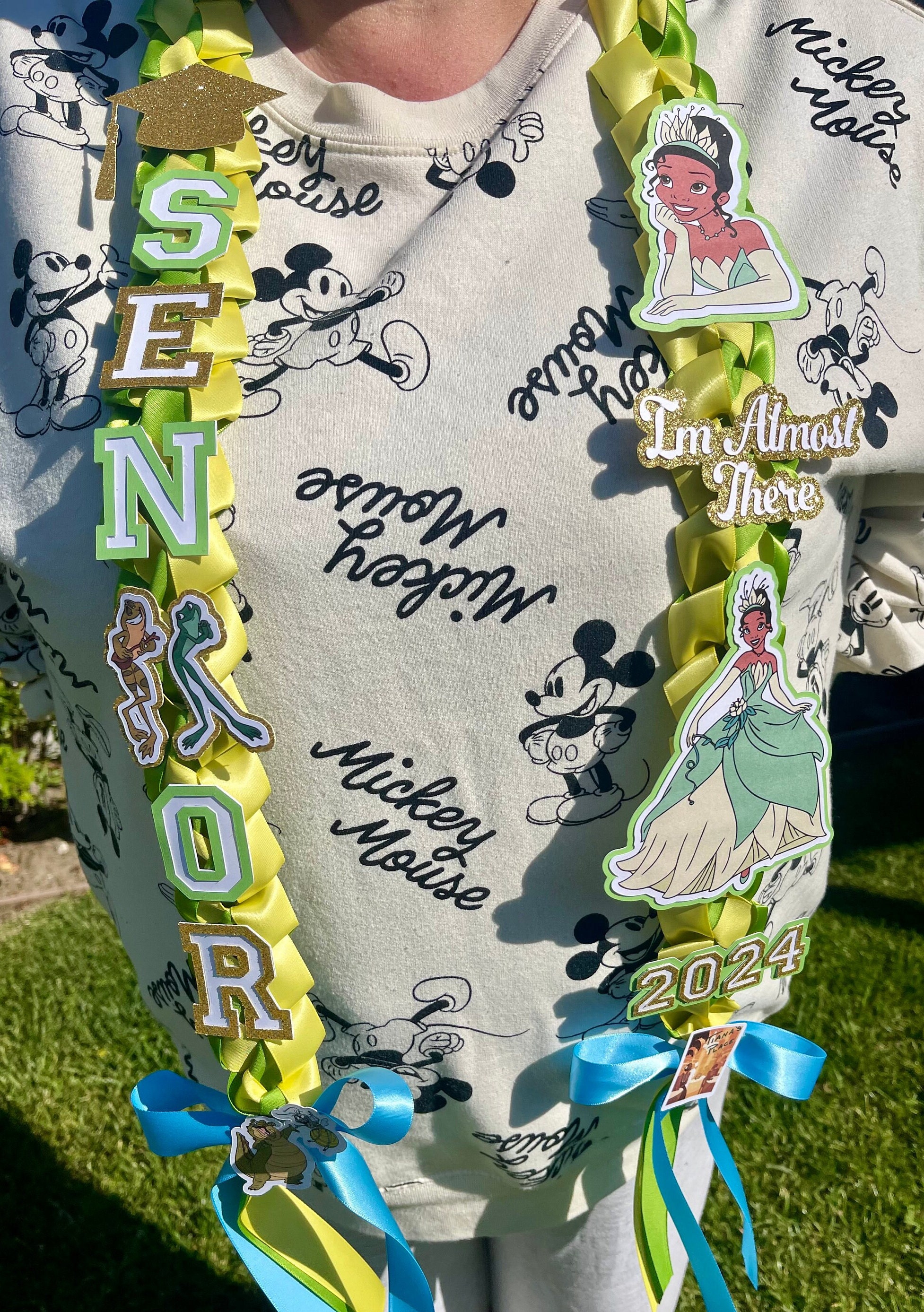 Princess Tiana Graduation Lei/ Princess and the Frog Ribbon Lei/ Grad ...