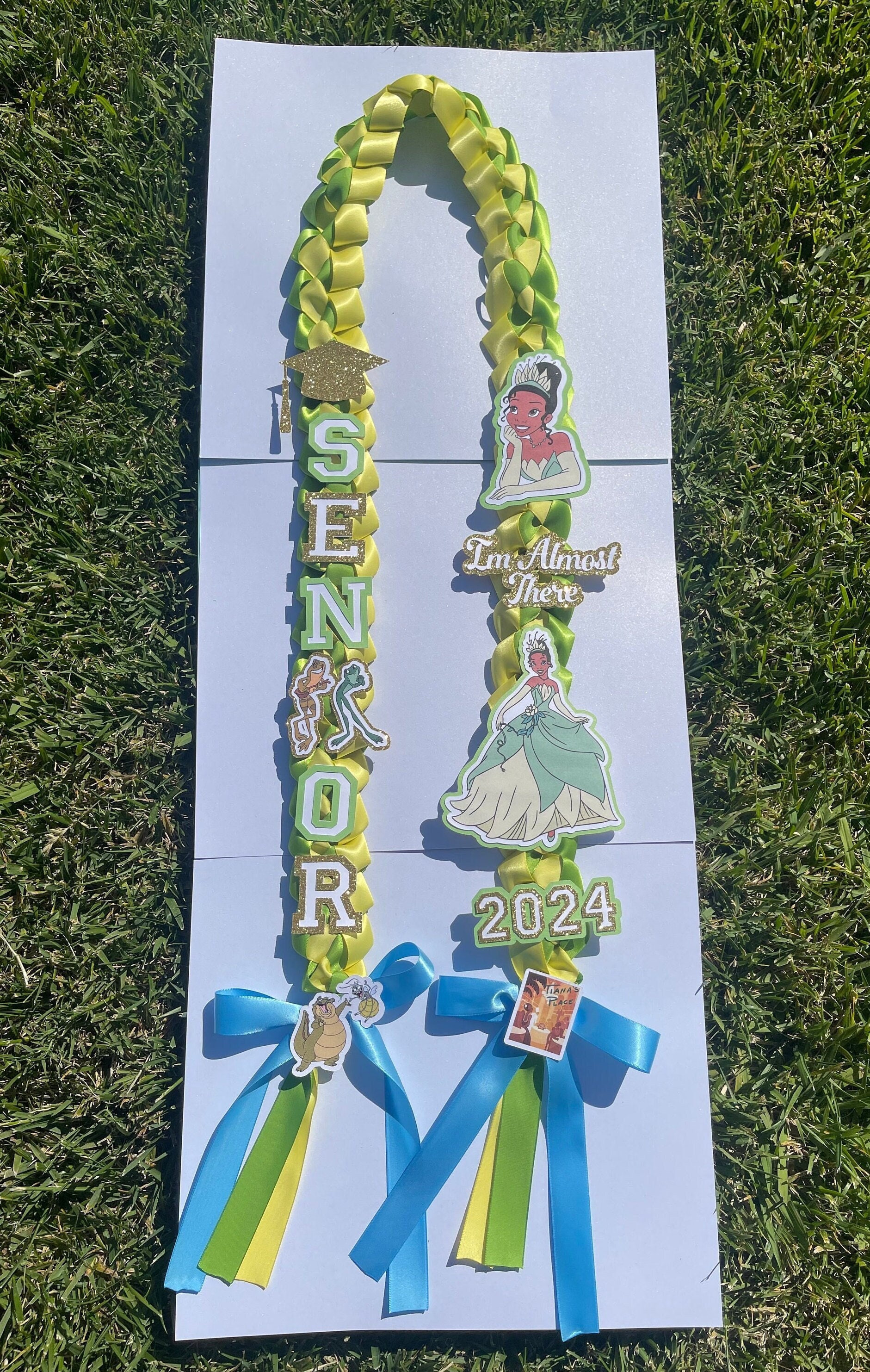 Princess Tiana Graduation Lei/ Princess and the Frog Ribbon Lei/ Grad ...