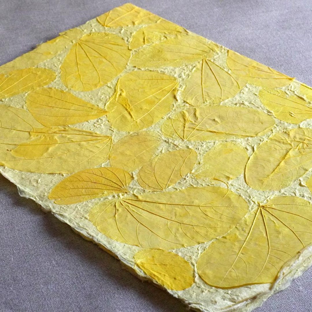 Handmade Natural Leaf Paper, Eco-friendly Mulberry Paper, Deckle-edge ...