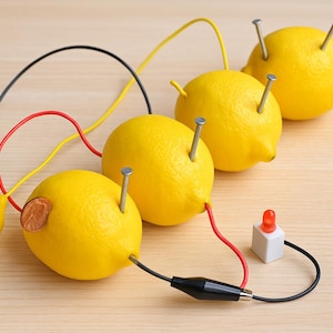 Lemon Battery Experiment: Easy DIY STEM Activity to Learn Electricity ...