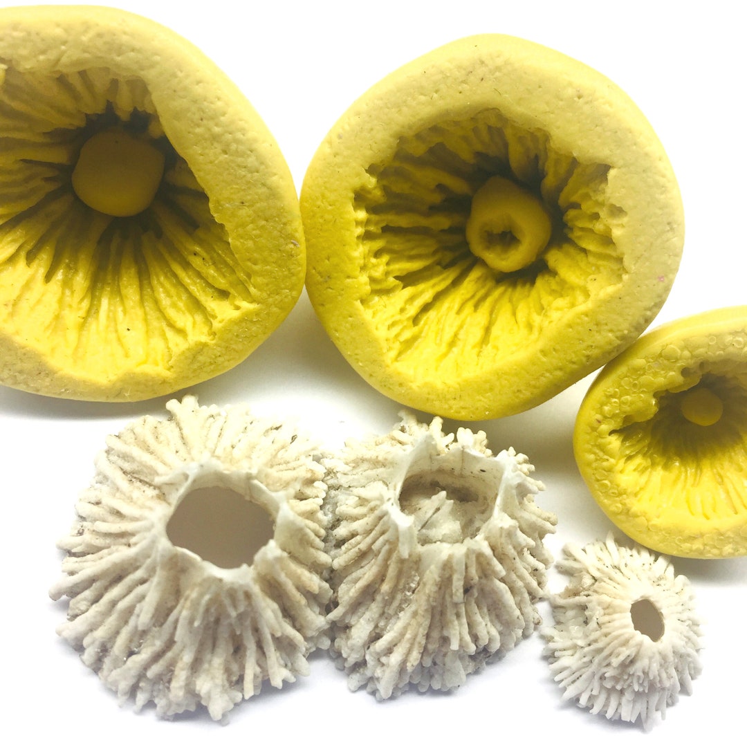 Silicone Flex Molds Set of 3 Barnacles Small to Mid Size Cast Candy ...