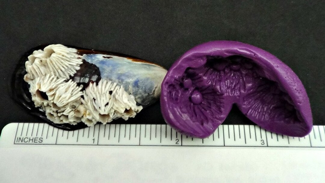 Barnacle Silicone Flex Mold - Cast Your Own Barnacle Cluster for Candy ...