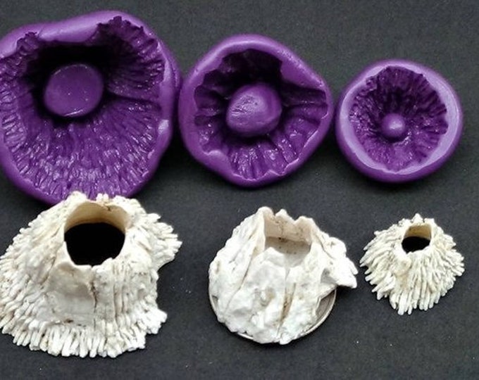 Barnacle Beads - Etsy