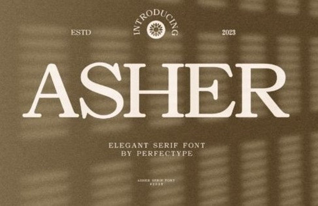Asher Font, Script Font, Handwritten Font, Signature Font, Modern ...