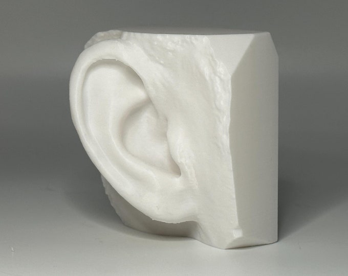 Ear - Wall Art - Etsy