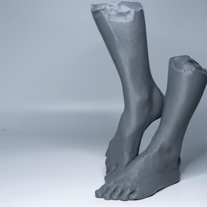 Female Feet Sculpture Statue, Artist Foot Anatomy, Art Reference, Posed ...