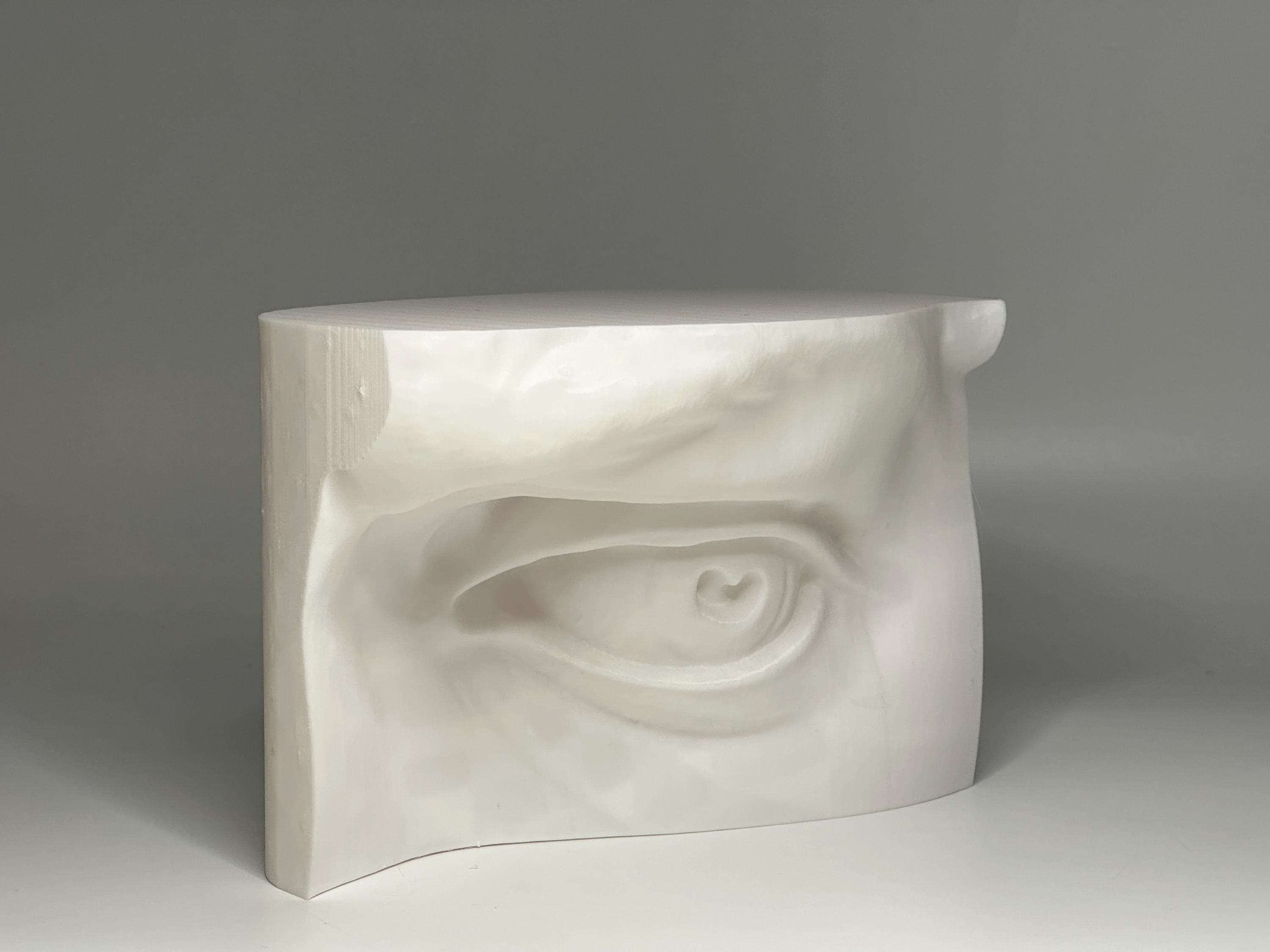 David Statue Eye Replica, Michelangelo Sculpture, Anatomy Art Reference ...