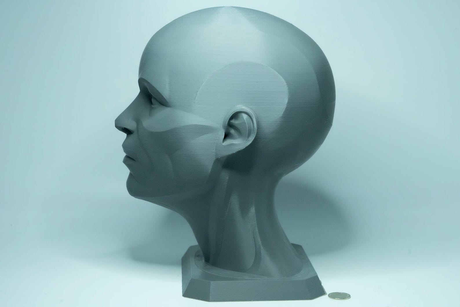 Planar Head Model, Artist Anatomy Sculpture Statue, Human Female Art ...