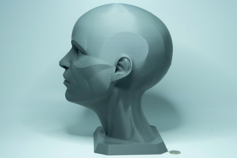 Planar Head Model, Artist Anatomy Sculpture Statue, Human Female Art ...