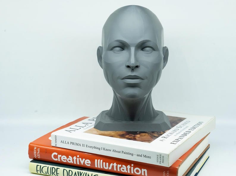 Planar Head Model, Artist Anatomy Sculpture Statue, Human Female Art ...