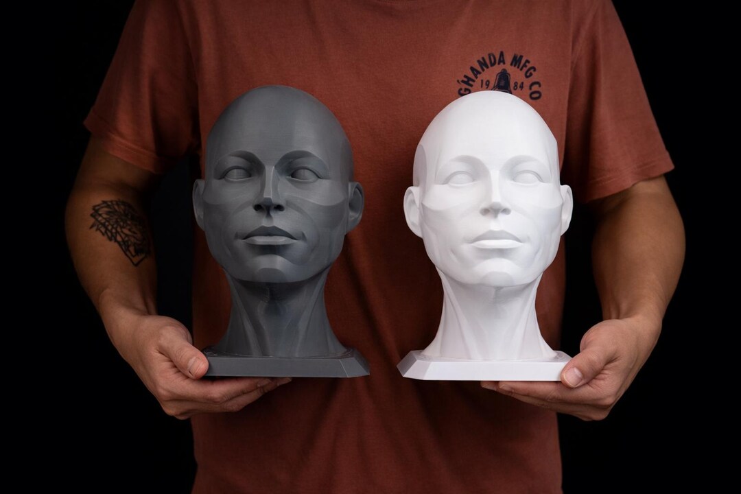 Planar Head Model, Artist Anatomy Sculpture Statue, Human Female Art ...