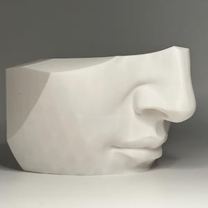 Renaissance Statue Sculpture Nose and Mouth of David Replica Model ...