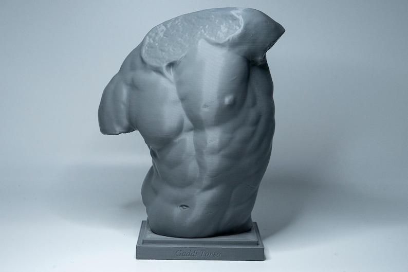 Gaddi Torso Sculpture Statue, Male Artist Anatomy, Art Reference, Posed ...
