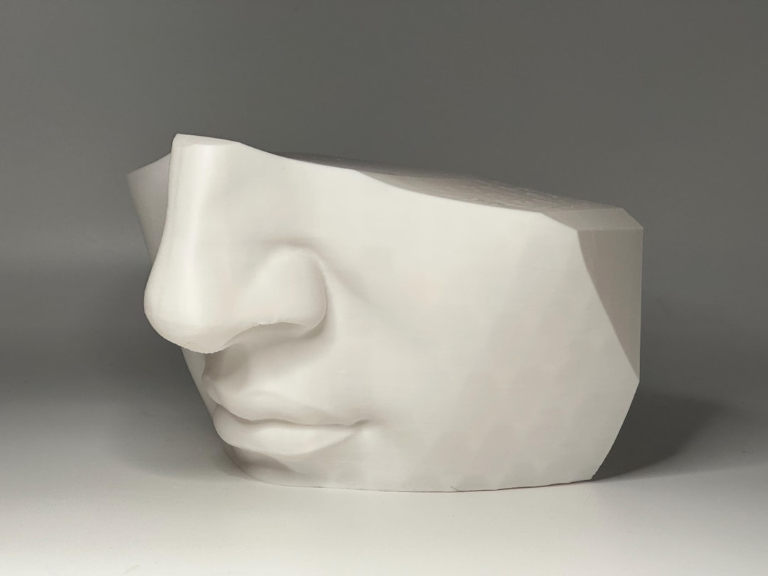 Renaissance Statue Sculpture Nose and Mouth of David Replica Model ...