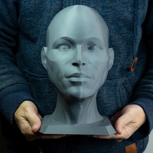 Planar Head Model, Artist Anatomy Sculpture Statue, Human Female Art ...