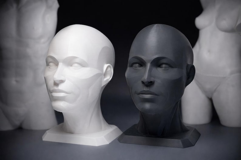 Planar Head Model, Artist Anatomy Sculpture Statue, Human Female Art ...