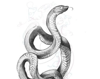 Snake Pencil Art - Etsy