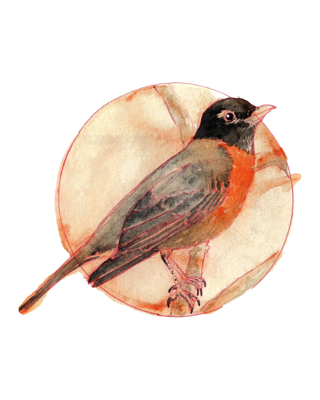 Red Robin Print | 5x7 Print | 8x10 Print | Cat Rocketship | Hand Drawn ...