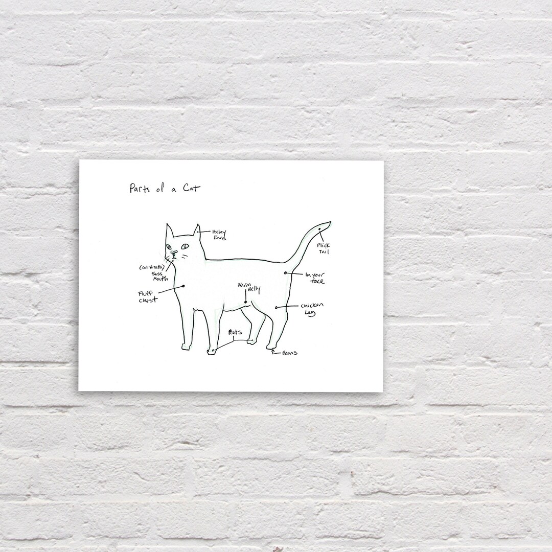 Instant Download: Parts of a Cat / Where to Pet Your Cat Drawing 5x7 ...
