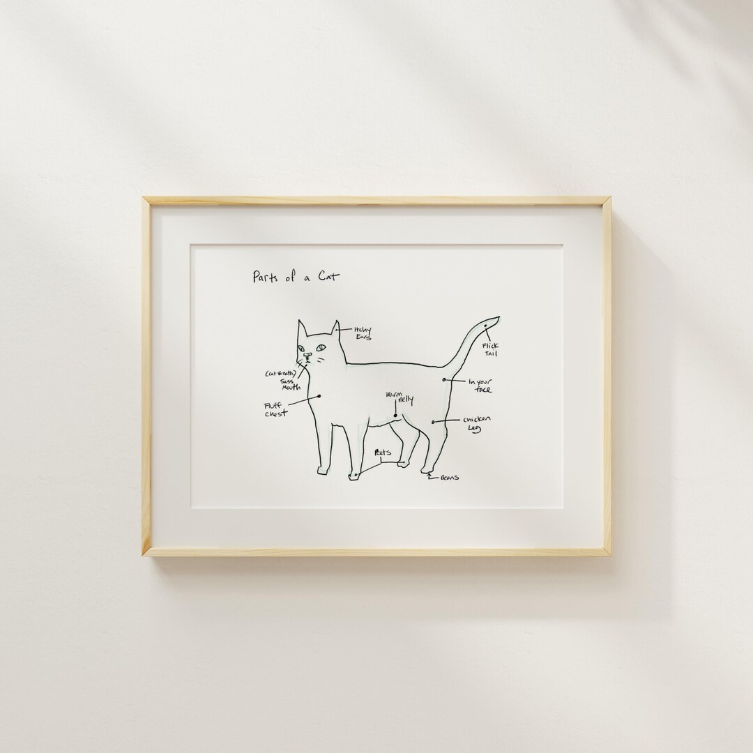 Parts of a Cat / Cat Petting Guide Drawing 5x7 Print, Funny Art - Etsy