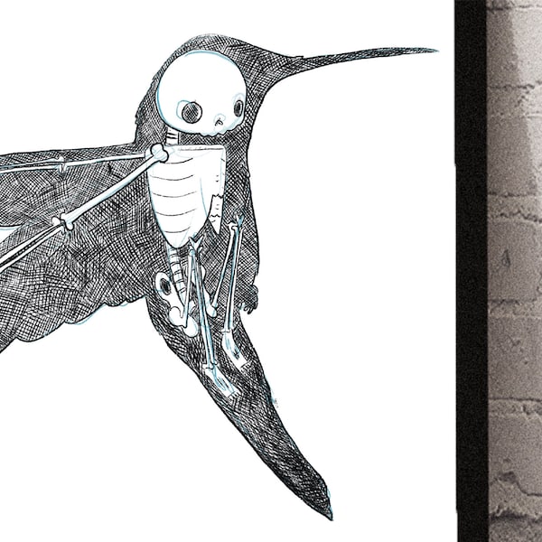 Hummingbird Skeleton - Etsy