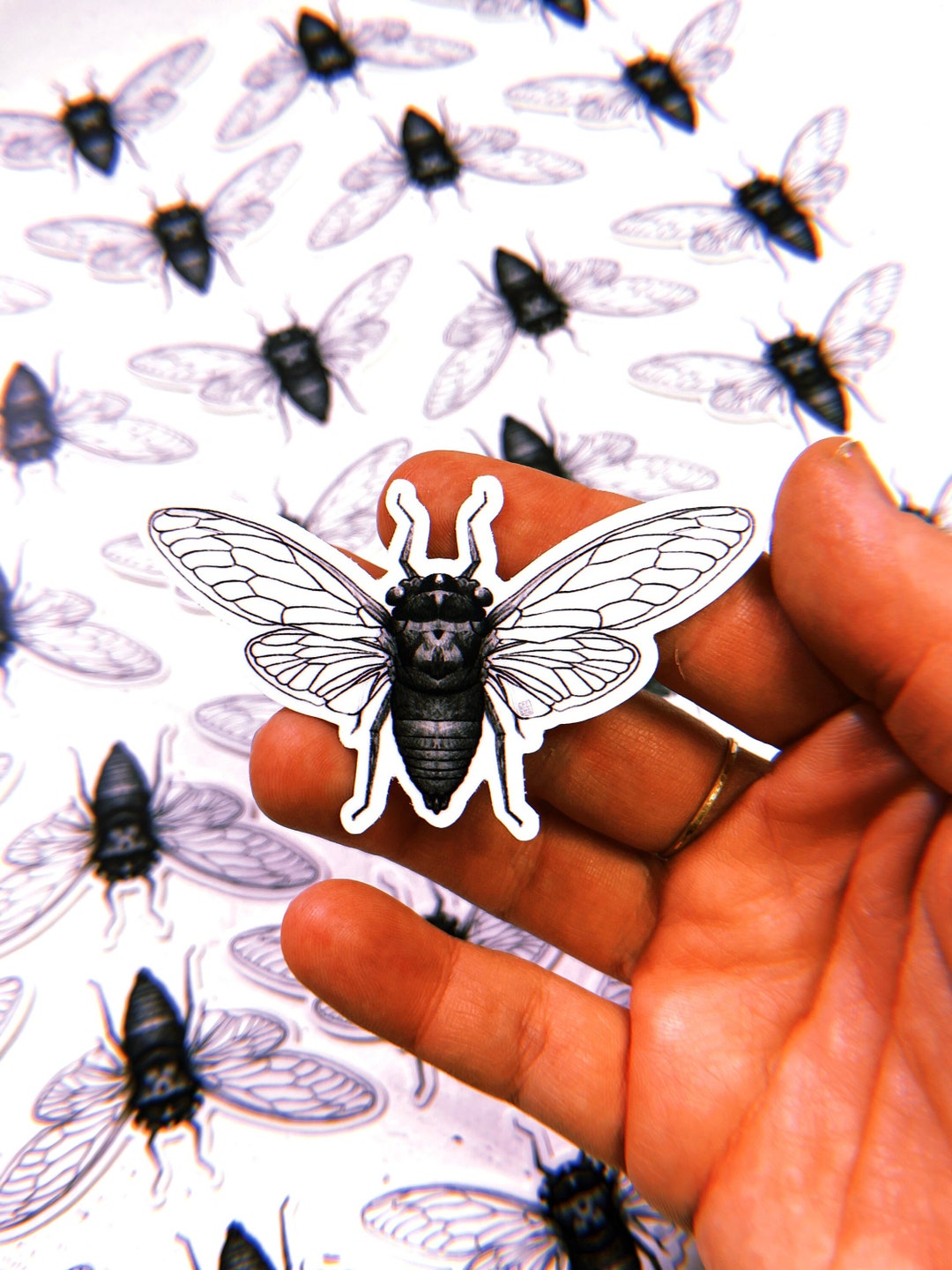 Cicada Water Bottle Sticker or Laptop Sticker by Cat Rocketship, Brood ...