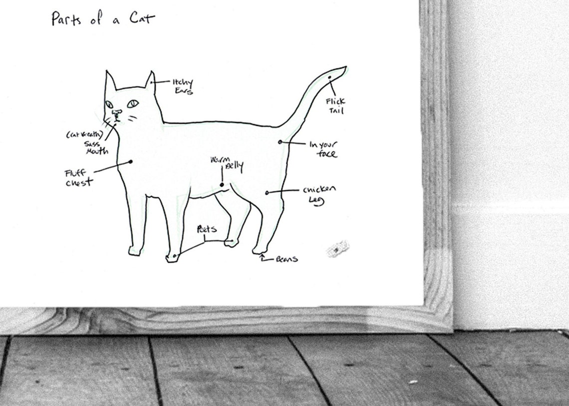 Instant Download: Parts of a Cat / Where to Pet Your Cat - Etsy