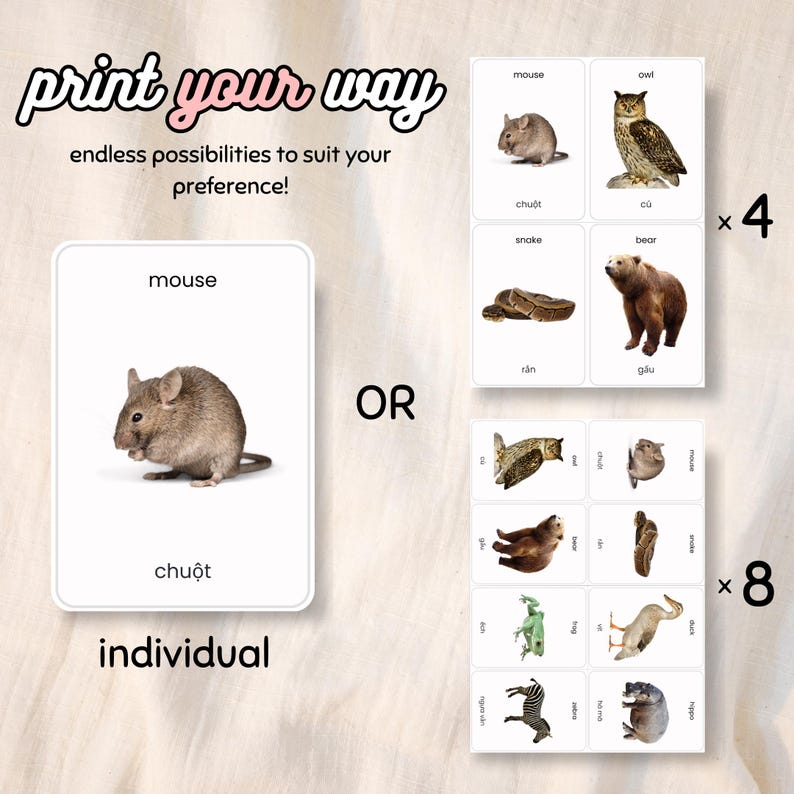 40 Realistic Animal Flashcards - Bilingual Vietnamese and English ...