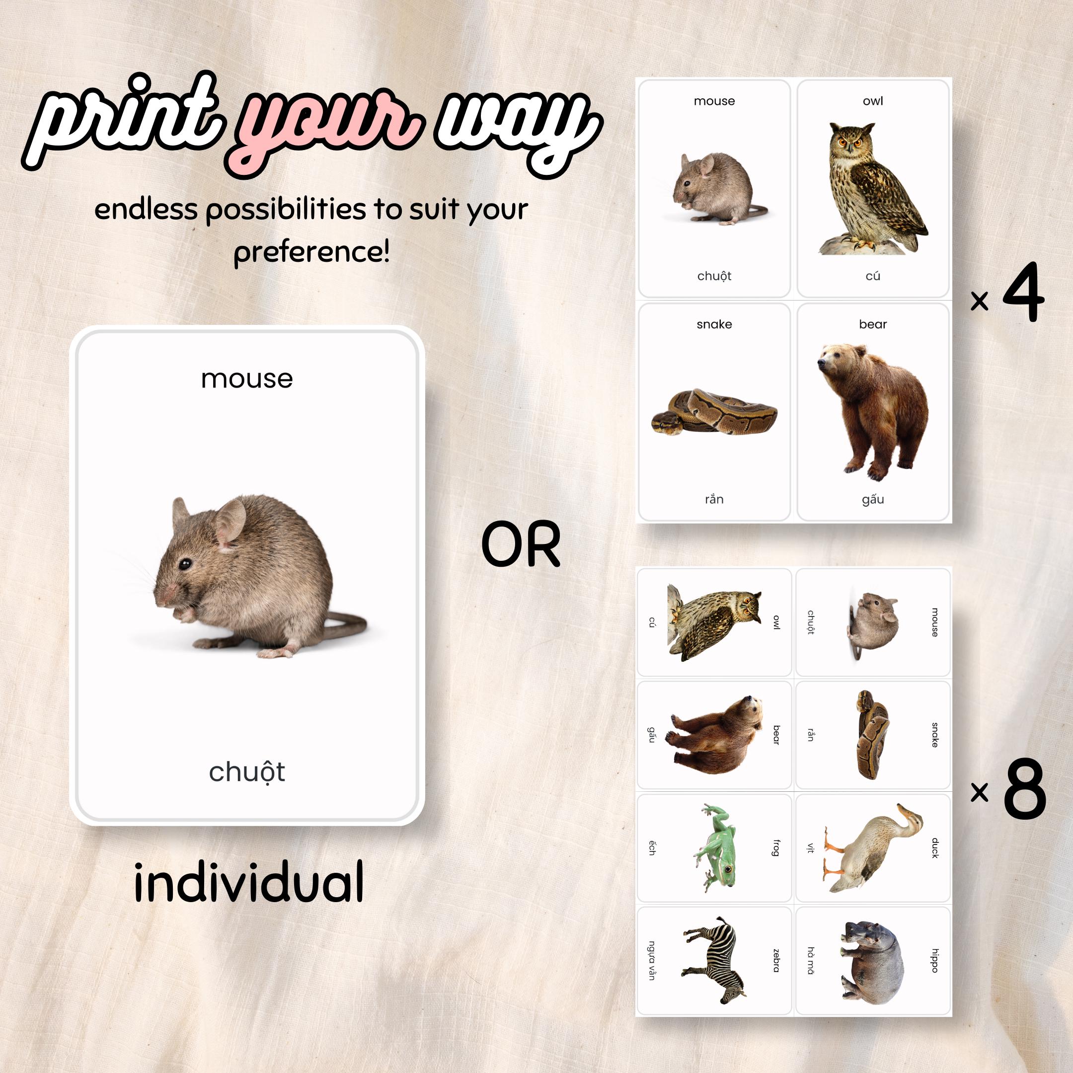 40 Realistic Animal Flashcards - Bilingual Vietnamese and English ...