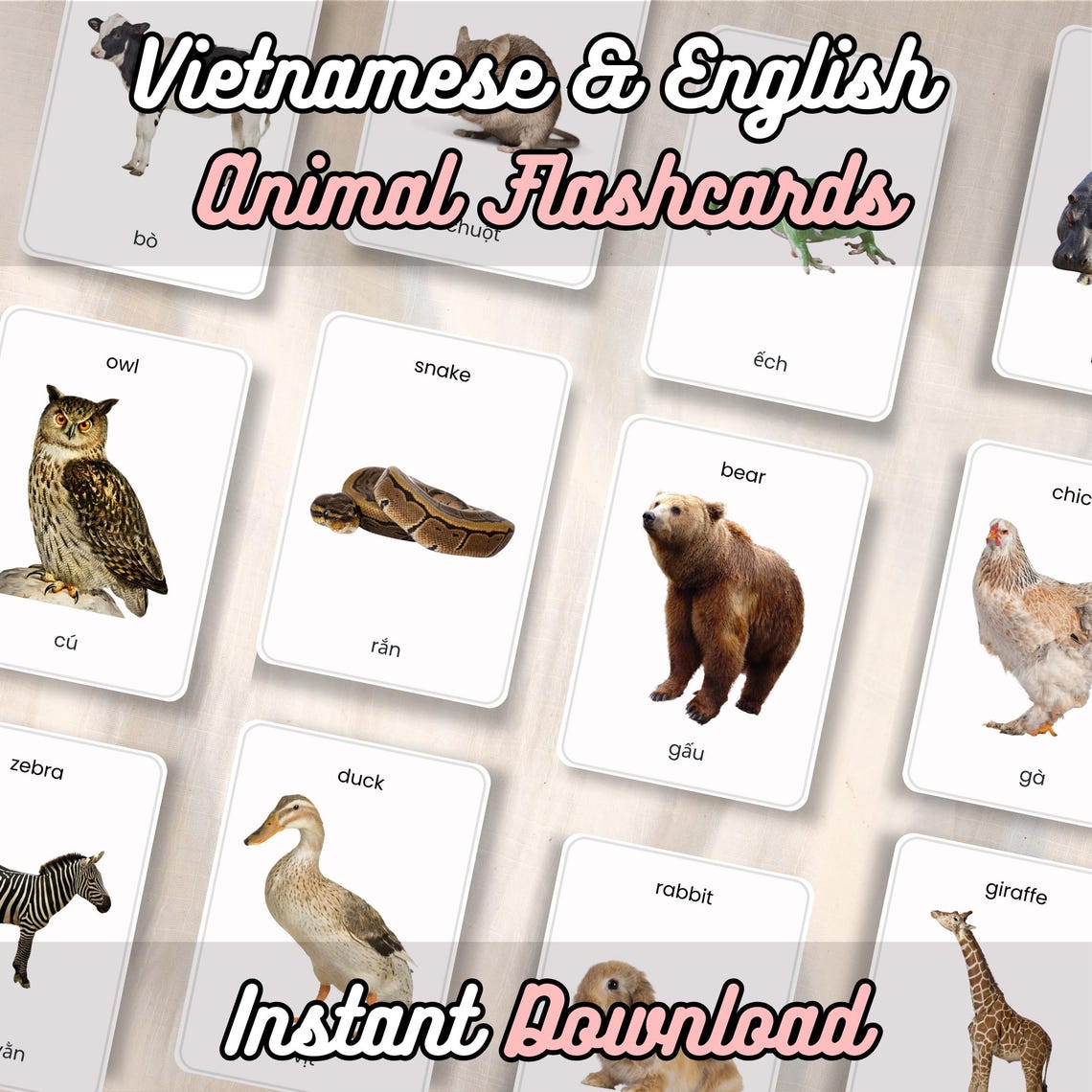 40 Realistic Animal Flashcards - Bilingual Vietnamese and English ...