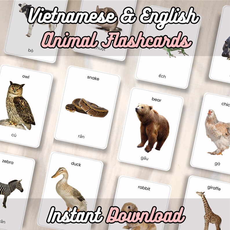 40 Realistic Animal Flashcards - Bilingual Vietnamese and English ...
