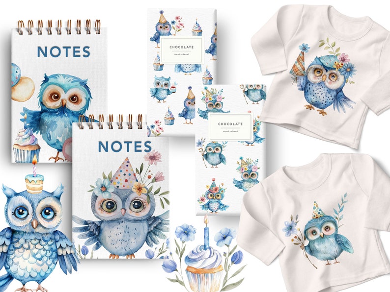 Baby Owl Clipart, Birthday Owl Party Png, Cute Birthday Owl, Cute Owl ...